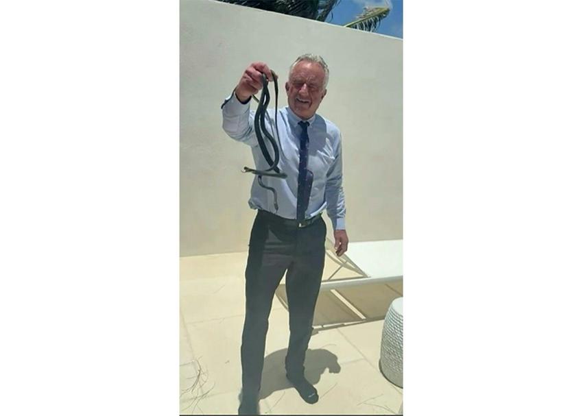 Live snakes, dead bears and brain worms: RFK Jr's wild animal antics ...